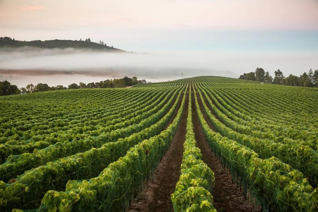 Summergate interview with Catherine Kistler, the second generation ...