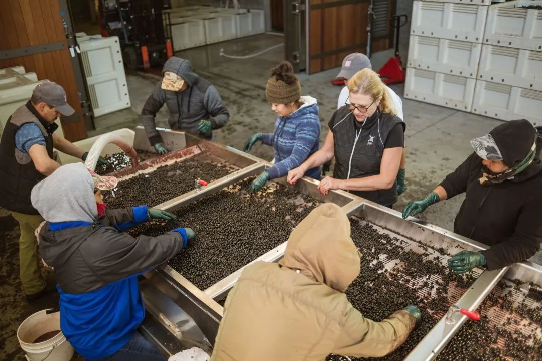 Summergate interview with Catherine Kistler, the second generation ...