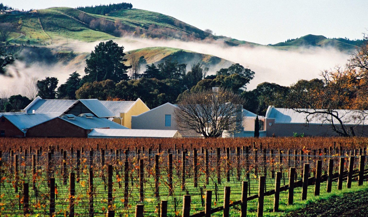 Our Brands - 美夏国际酒业 Summergate