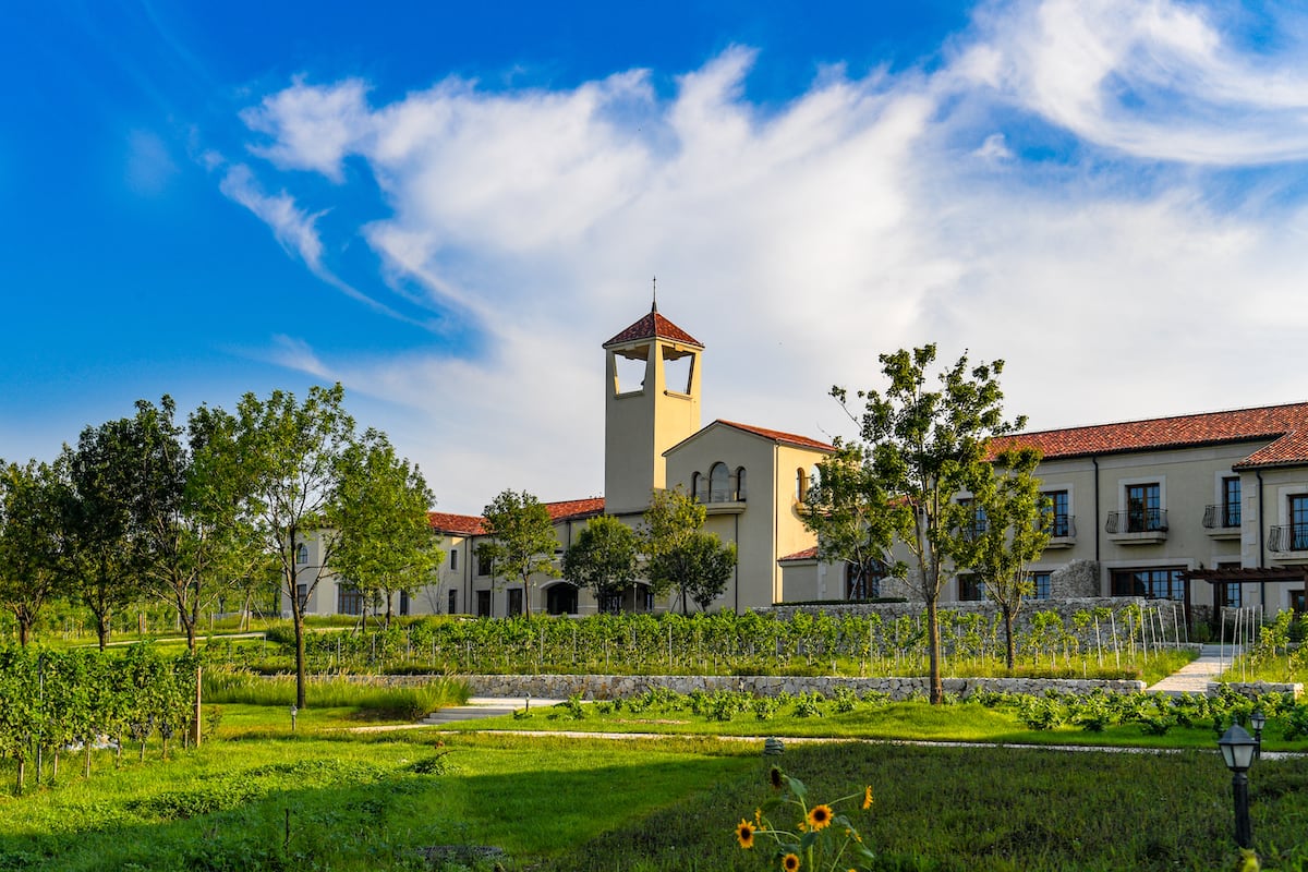 Our Brands - 美夏国际酒业 Summergate